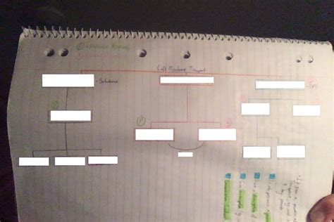 Cell Transport Diagram Quizlet