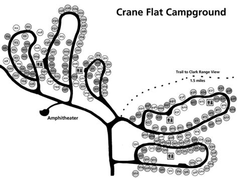 Crane Flat Campsite Photos Campsite Availability Alerts