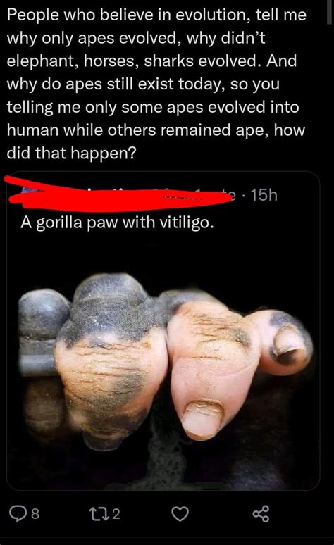 Why Only Monkey Evolve Explain That Evolutionists Rfacebookscience