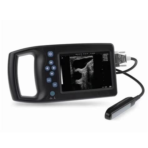 Veterinary Use USG Animal USB Vet Ultrasound Veterinary Ultrasound ...