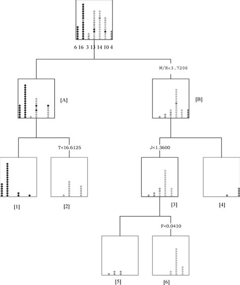 Classification Tree Of The 66 Samples The Numbers In Square Brackets Download Scientific