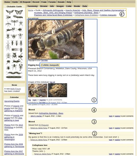 A Bugguide Orientation