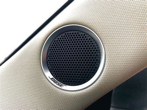 Cell Series Sam Holtz Portfolio