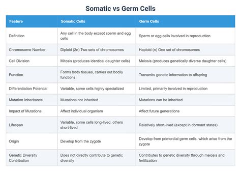 Somatic Vs Germ Cells