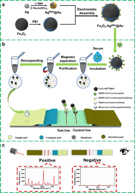 Colorimetric Immunoassay At Giuseppe Siegel Blog