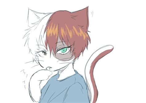 Kawaii Todoroki Drawing Fititnoora