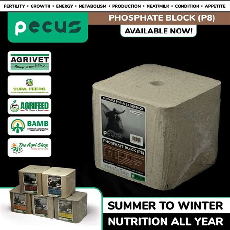 Pecus Mineral Block Home Facebook