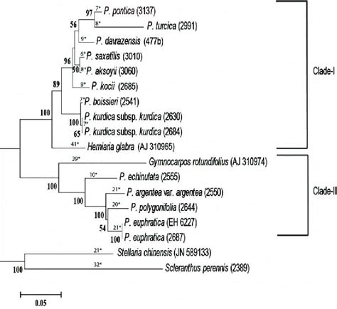Most Parsimonious Phylogenetic Tree Based On The Internal Transcribed Download Scientific