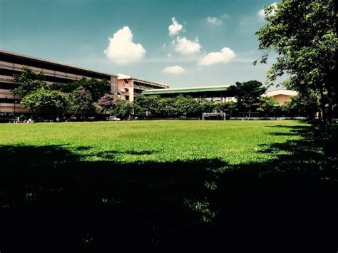 Premium Photo Empty Soccer Field