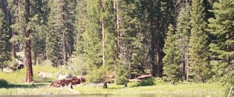 Balch Park Discover Tulare County