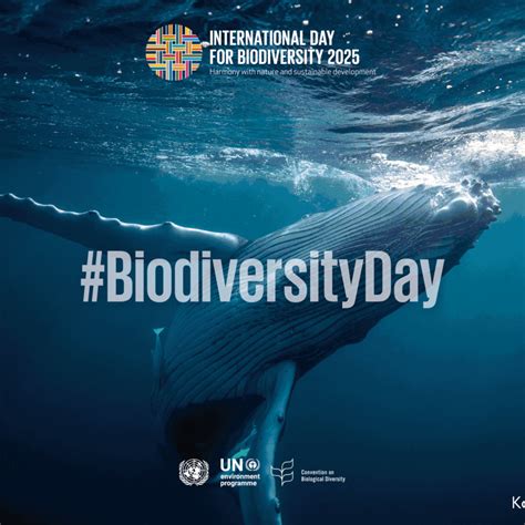 Biodiversityday A World Where Nature And People Thrive Un Biodiversity Posted On The Topic
