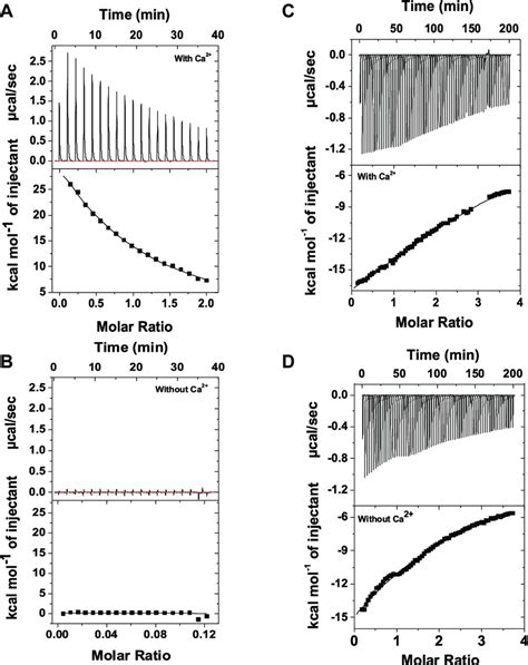 Client Proteins Binding To Scgn A And B Itc Thermogram Depicting Heat Download Scientific
