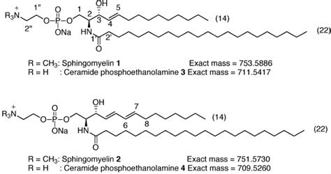 Electrospray Ionization Mass Spectrometry 3 Fragmentation Spectra Of
