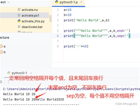 每天学点儿python printinput和注释