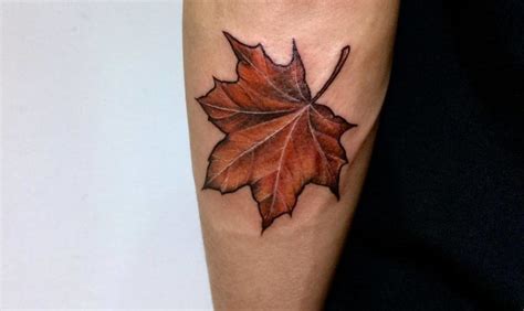33 Gorgeous Maple Leaf Tattoo Designs Tattoobloq