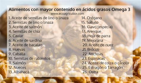 Omega 3 Beneficios Funciones Y Lista De Alimentos Con Estos ácidos Grasos