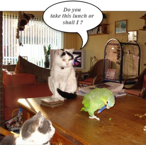 Funny Constipation Quotes Quotesgram