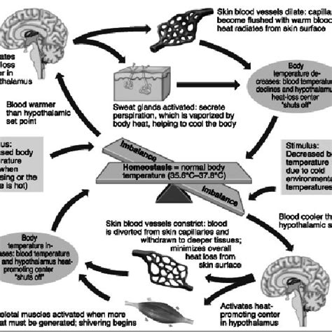 Ashrae Comfort Classification Using Rwi Download Table