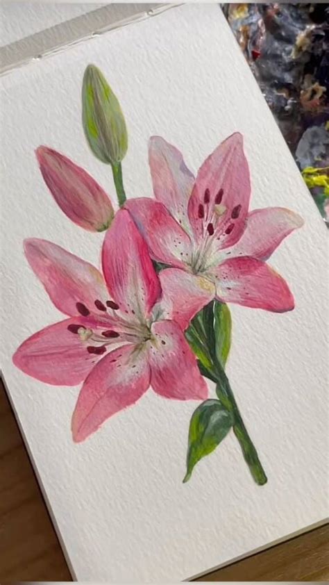 Lily Flower Drawing Simple Techniques For Beginners