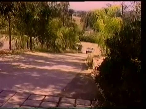 Sex Fun Vol 1 1998 Adult Empire
