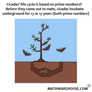 What Are The Types Of Discontinuities Explained With Graphs Examples And Interactive Tutorial