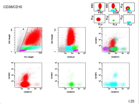 Flow Cytometry Atlas
