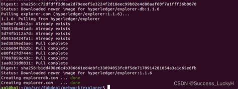 fabric 超级账本学习【11】hyperledger fabric 2 4 实战——基于hyperledger fabric 2 4 的