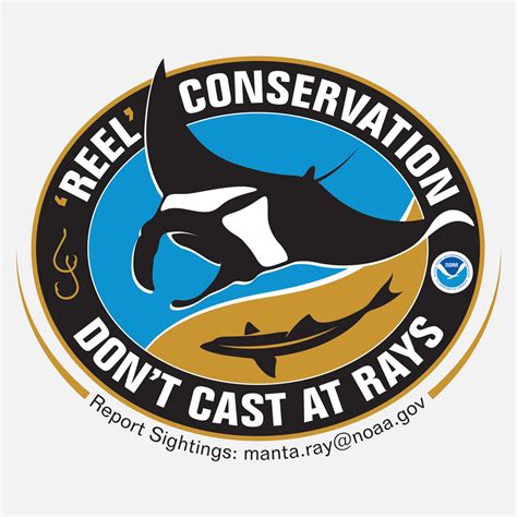 Reel Conservation Giant Manta Ray Drawnbydawn