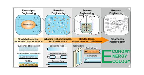 Applications Of Multiphasic Microreactors For Biocatalytic Reactions Organic Process Research