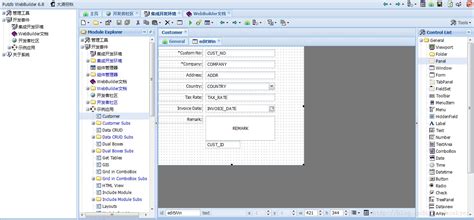 java web快速开发平台webbuilder使用手记 csdn博客