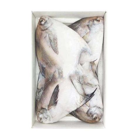 Jual Java Sea Ikan Bawal Putih Makanan Beku 1 Kg 4 Ekor Pack Di