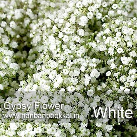 Gg005 Gypsophila With Dark Pink Rose Wedding Reception Garlands 1 Pair