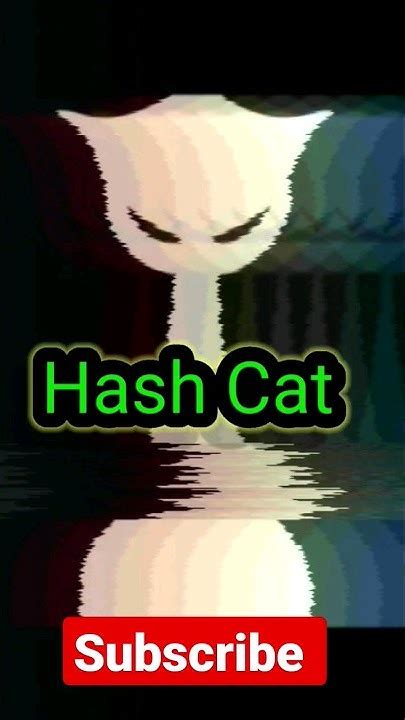 Best Hacking Tools Hacking Hackingtools Tech Kalilinux Hashcat