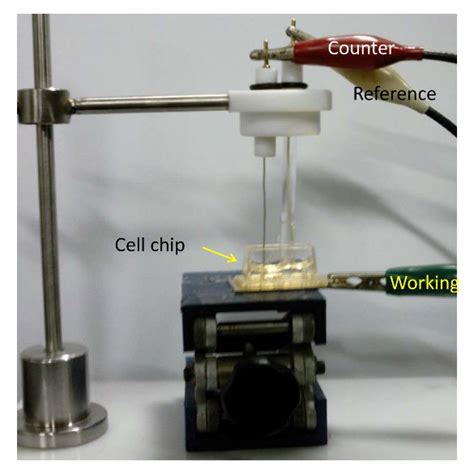 The Fabricated Chip With Thee Electrode Setup For Electrochemical