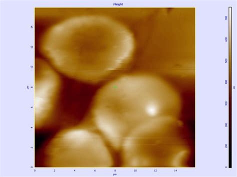 Atomic Force Microscope Afm Principle Parts Procedure Uses