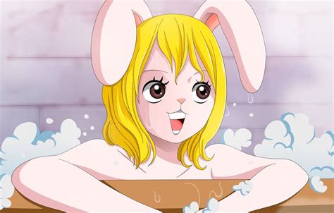 One Piece Characters Bunny At Sienna Kraegen Blog