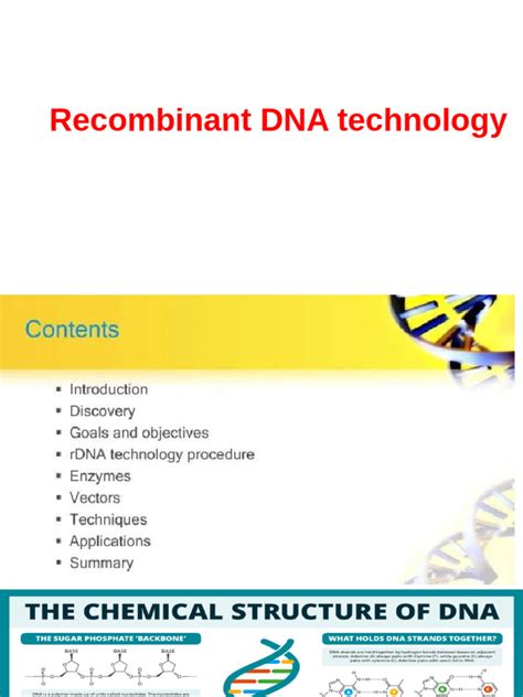 6 Rdna Technology Pdf Recombinant Dna Molecular Cloning