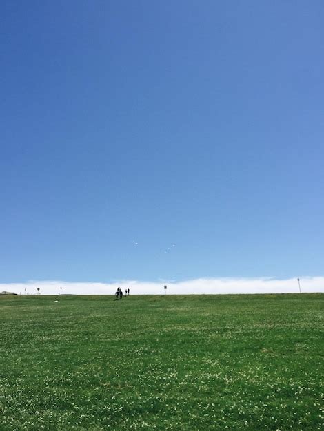 Flat Grass Field Images Free Download On Freepik