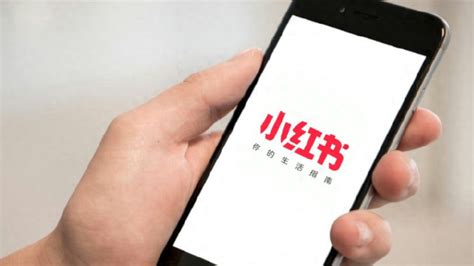 小红书，努力成为小红书电子商务社区电商商业购物新浪新闻
