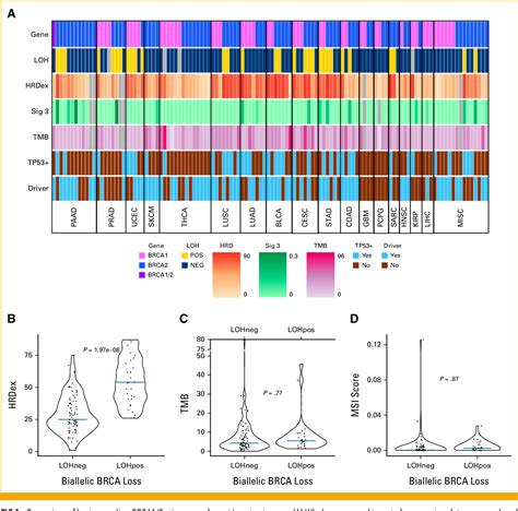 Figure 1 From Biallelic Brca Loss And Homologous Recombination