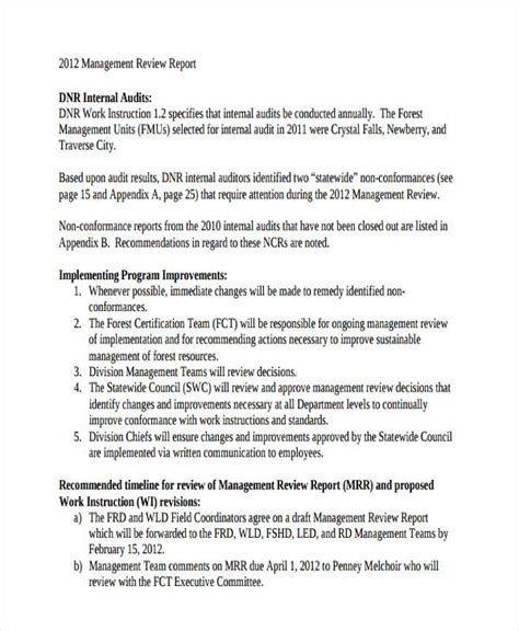 Business Review Report Template