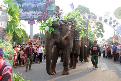 The 8th Buon Ma Thuot Coffee Festival 2023 Join The Best Festival