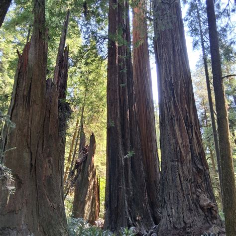 Ruby Starr Miss Ruby Starr Rocking The The Starwood Facebook