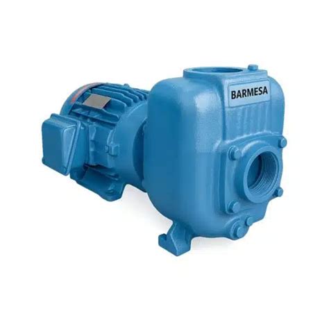 Bomba Barmesa Autocebante 10 Hp 220 Vac Hierro Trifásica