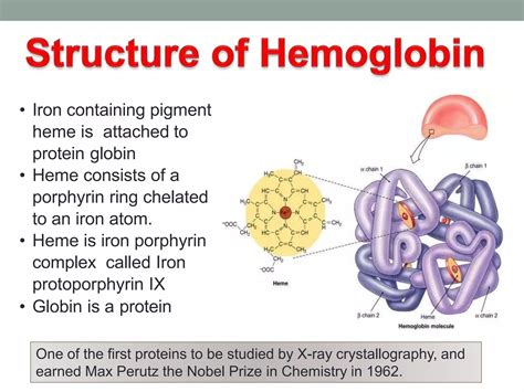Chemistry And Function Of Hemoglobin Pptx Biological Sciences Science