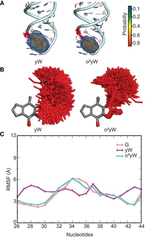 Posttranscriptional Modifications At The 37th Position In The Anticodon Stemloop Of Trna