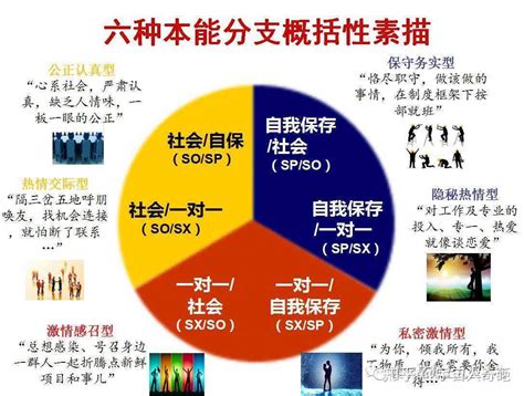 九型人格本能副型堆叠全翻译介绍 知乎