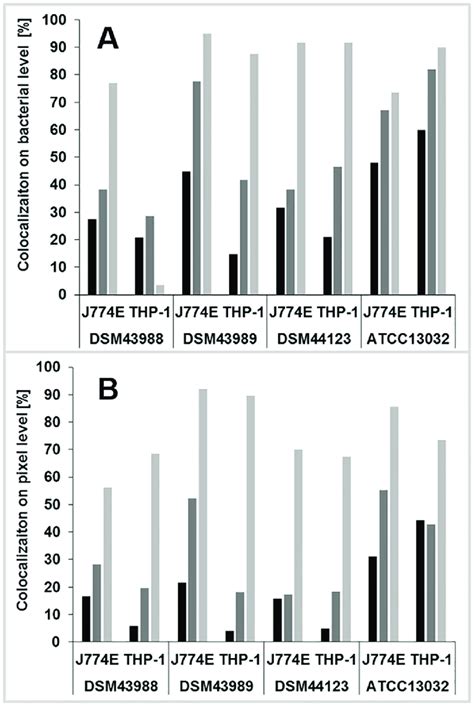 Automated Analysis Of Co Localization Of Bacteria With Acidic
