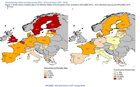 Honey Bee Loss In Numbers A Worldwide Problem Bees4life