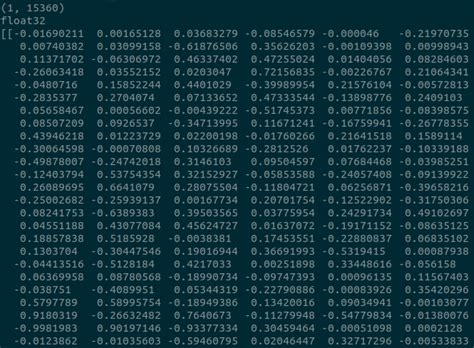 [bug] different inference results of tflite model and onnx model